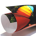 Supersize Print: Product Group