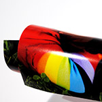 Supersize Print Products